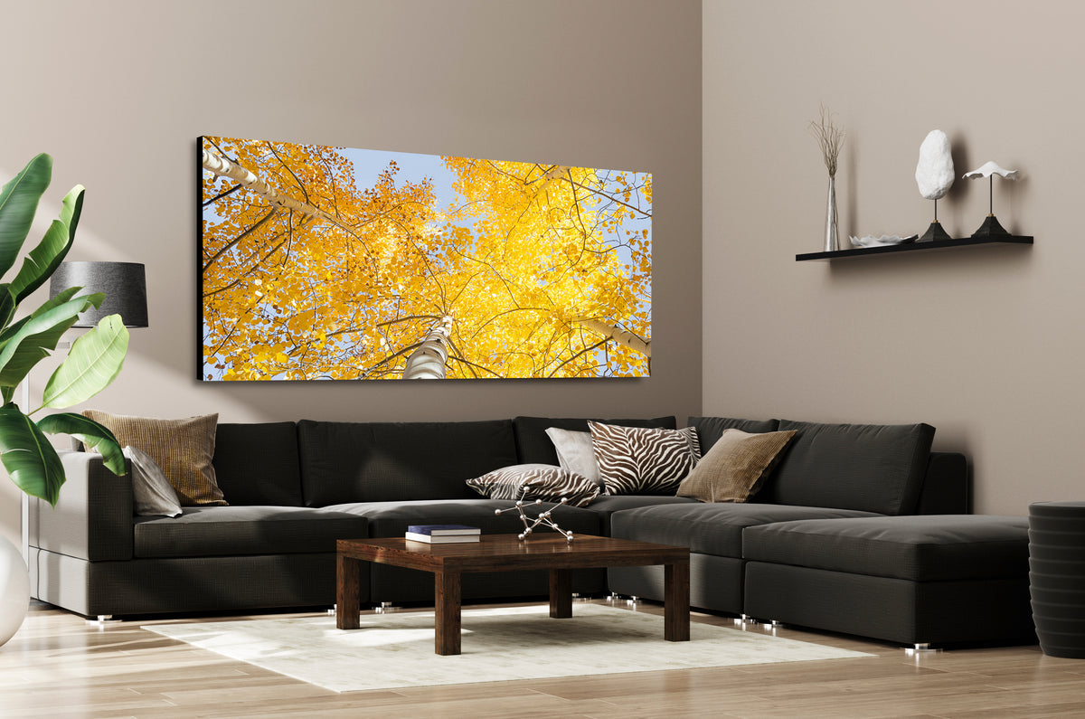 "Aspen Corner" - Limited Edition - HD Metal Print – Bonner Fine Art