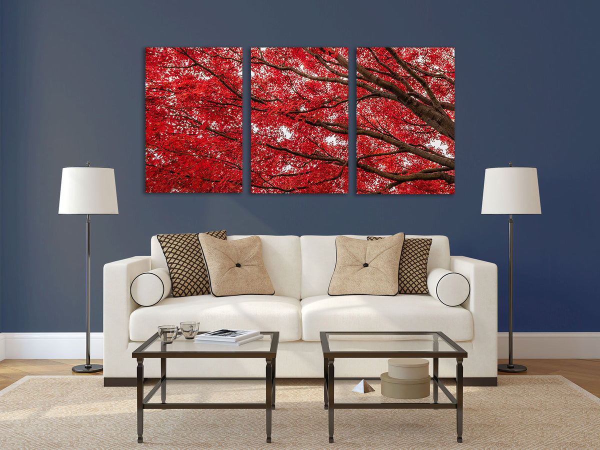 "Japanese Fire Maple" - Limited Edition Acrylic – Bonner Fine Art